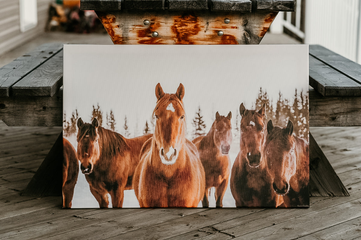 Print Shop – Range Road 21